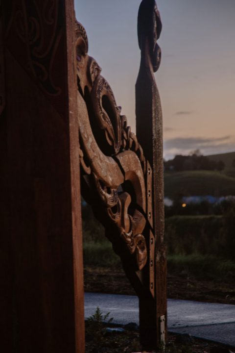 Te Reo Integration | Moko Kauri